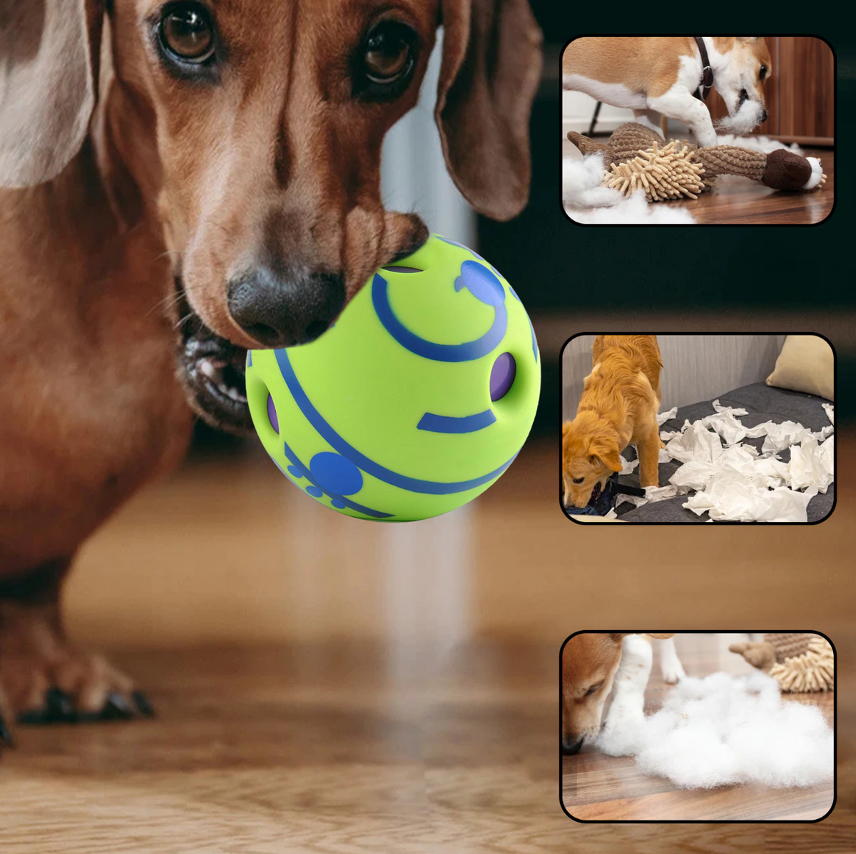 Babble Ball – Interaktives Hundespielzeug – Deluxe Homes